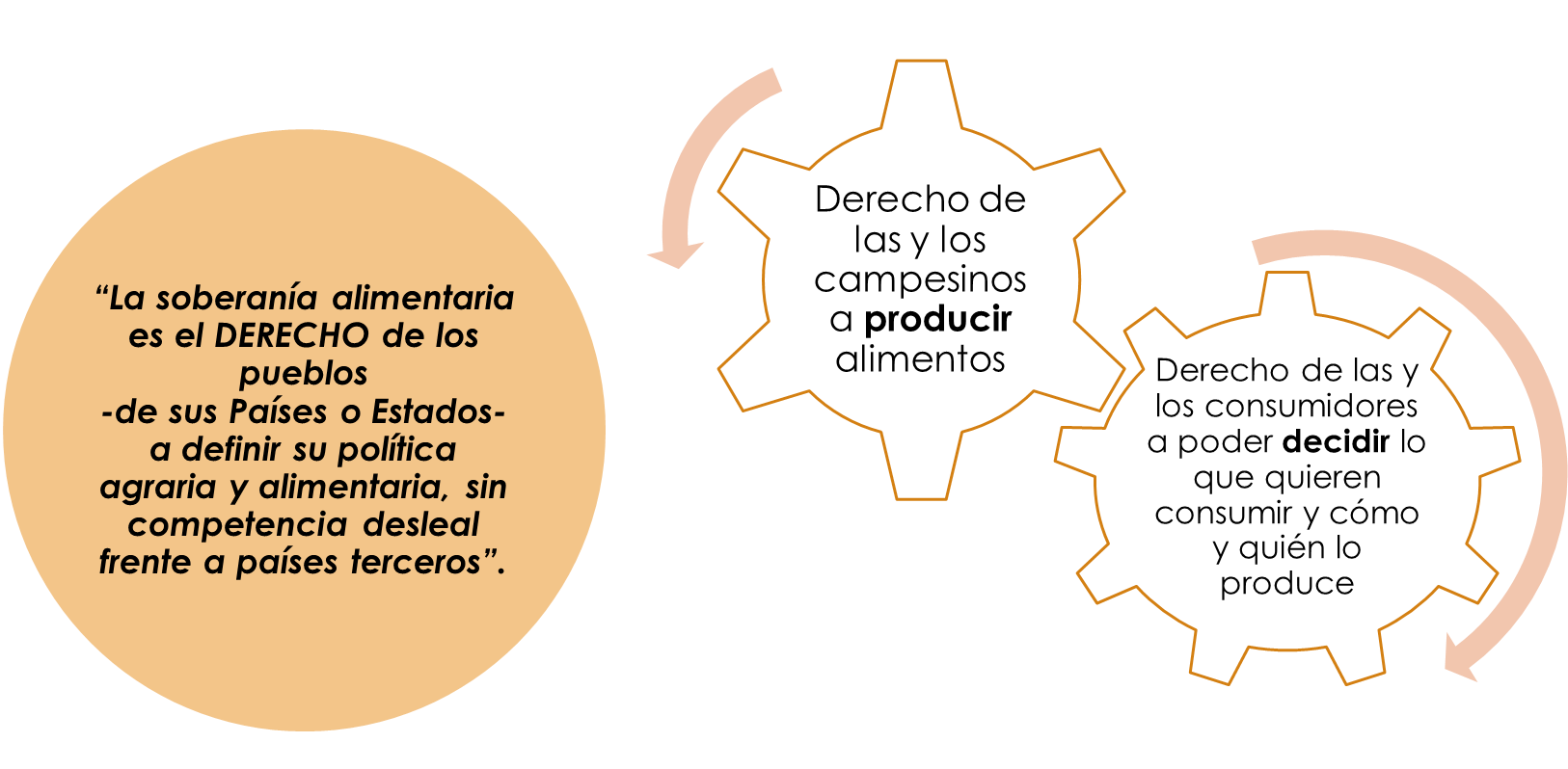 Soberanía alimentaria: tierra, semillas y agua – Qawarisun